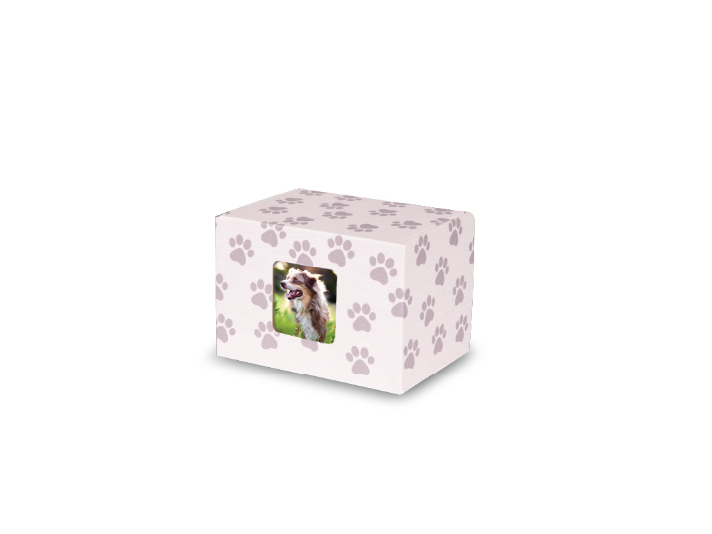 Keepsake Container Medium - Paw Print - Photo Window (Carton of 24 ...
