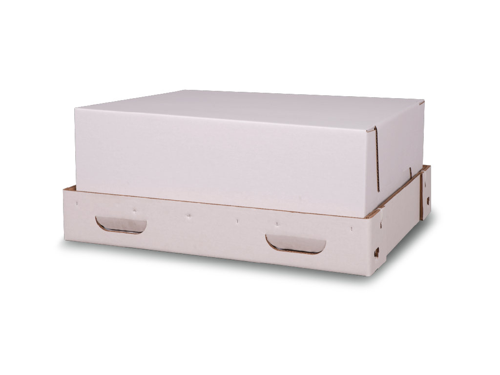 Pet Cremation Tray Large with Lid – White | Starmark® – Starmark