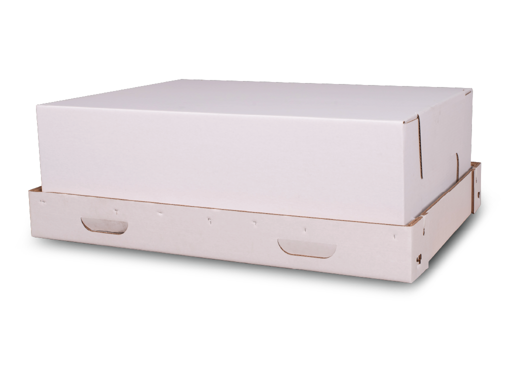 Pet Cremation Tray XL – White, No Lid | Starmark® – Starmark